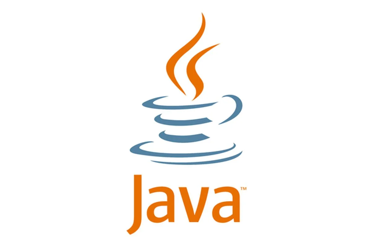 What is Java - Nasser Zarringhalam